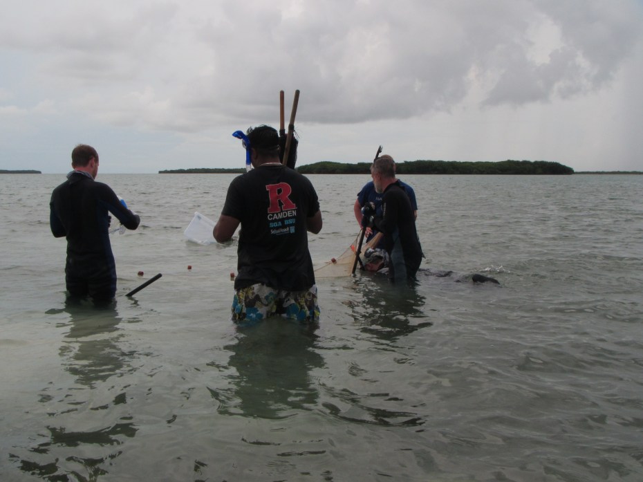 Learning field methods for biological surveys – Marine Field Ecology ...