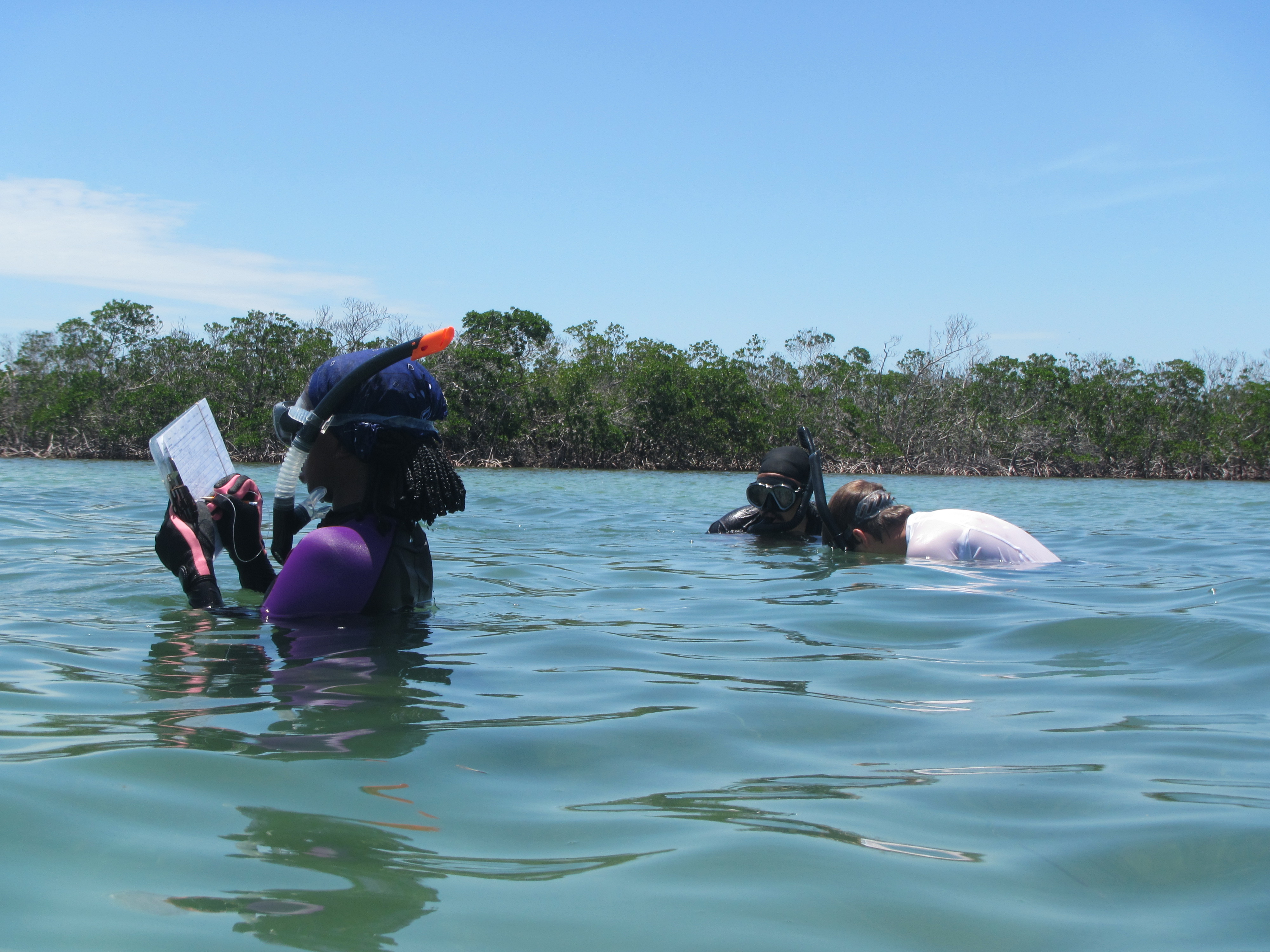 Learning field methods for biological surveys – Marine Field Ecology ...